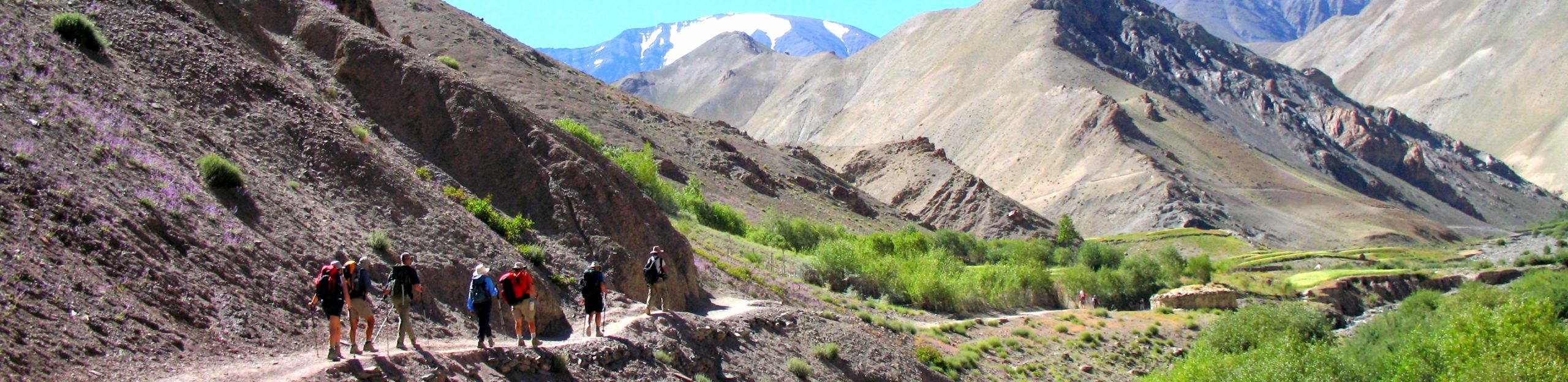 TSO MORARI LAKE TREK - INDIA - One World Trekking